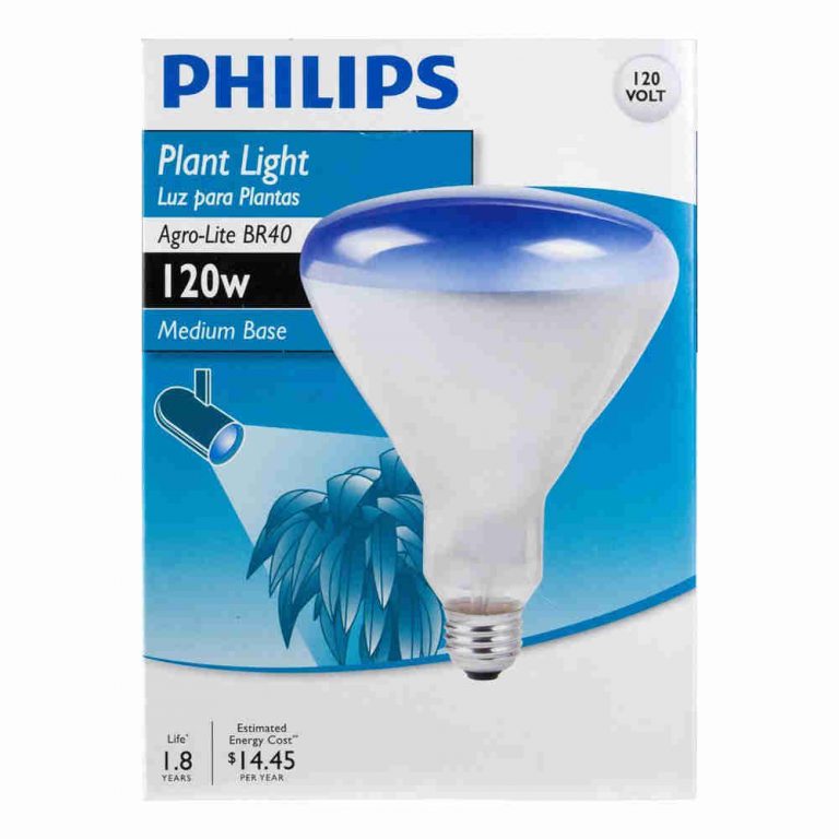 The Best Grow Lights for Indoor Plants - Corner of My Home