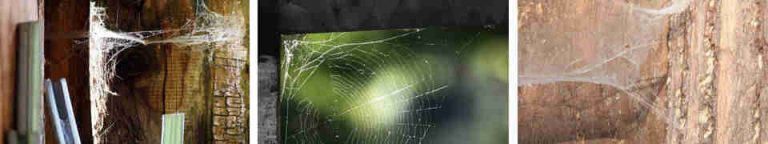 How to Get Rid of Cobwebs - Corner of My Home